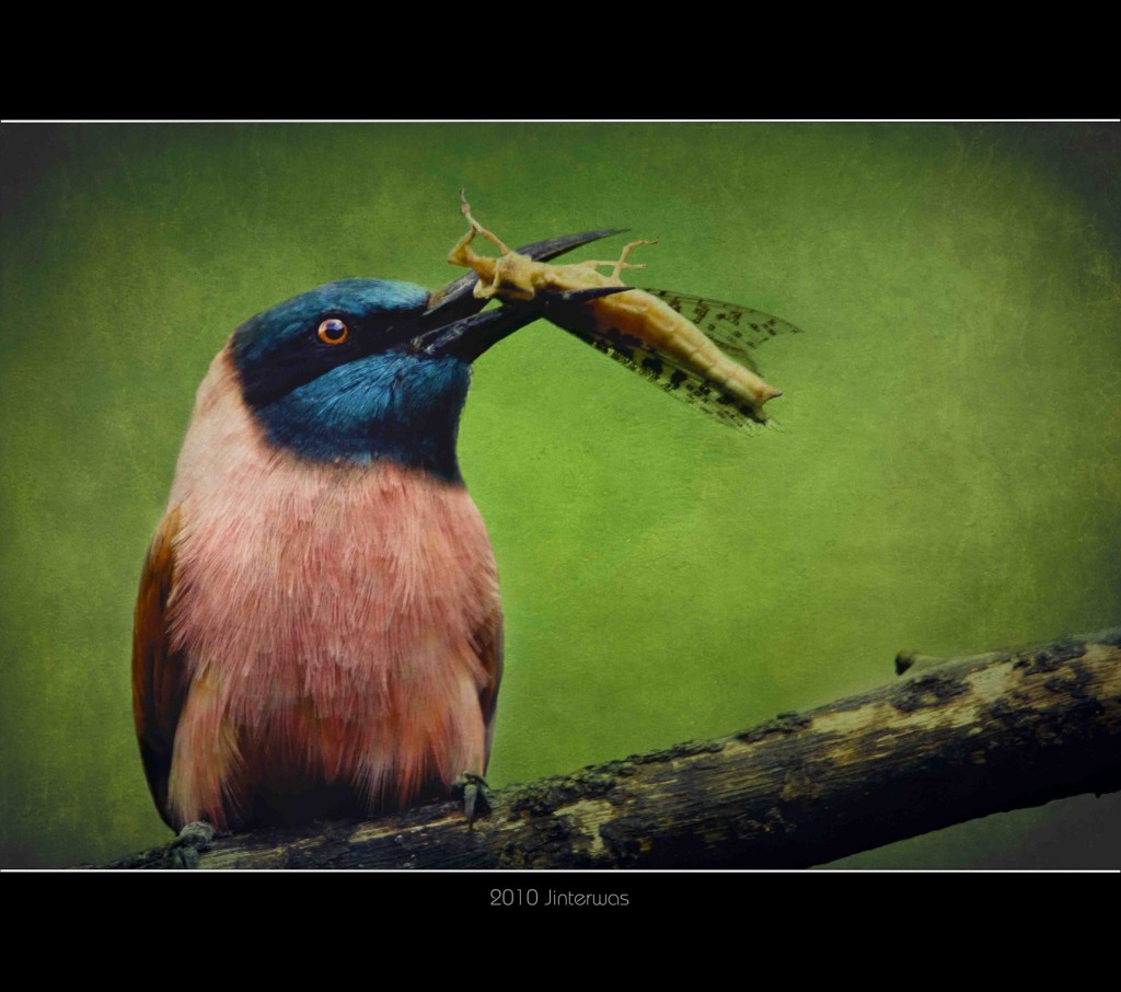 Index of /wp-content/uploads/2012/12