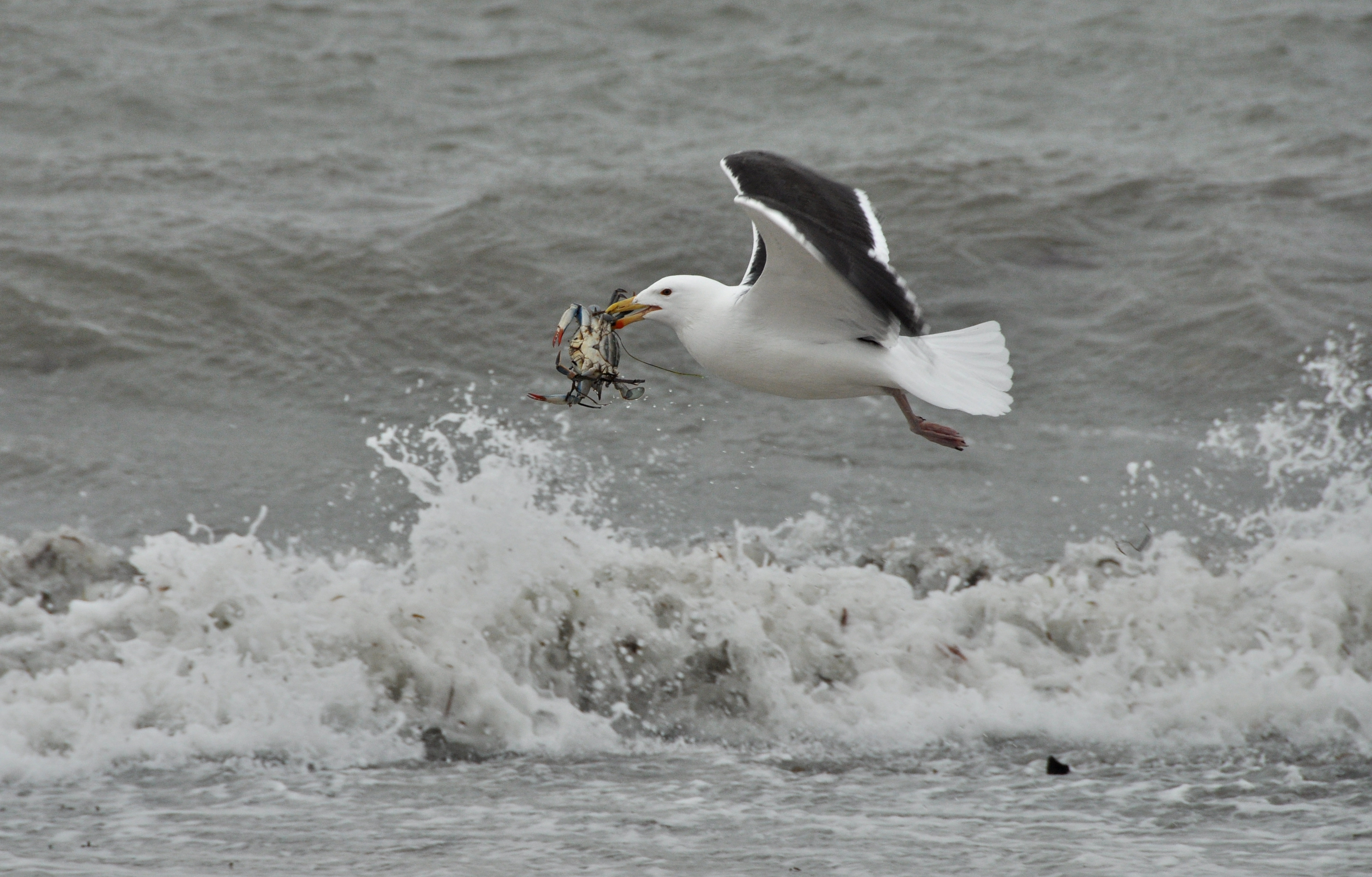 Index of /wp-content/uploads/2012/12