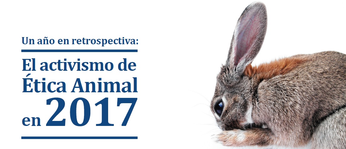 Un año en retrospectiva: el activismo de Ética Animal en 2017
