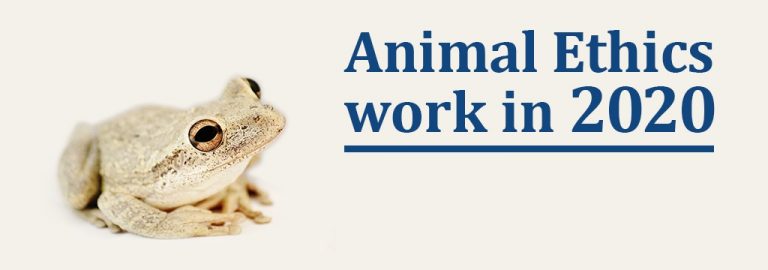 Animal Ethics work in 2020