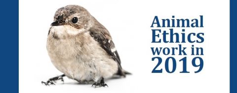 ABOUT US — Animal Ethics