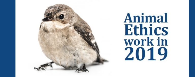 ABOUT US — Animal Ethics