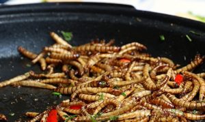 Un artículo introductorio al uso de insectos como comida