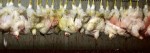 The slaughter of animals used for food — Animal Ethics