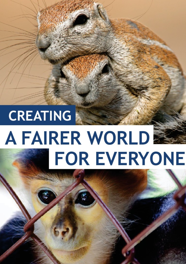 Download and use Animal Ethics’s leaflets and factsheets