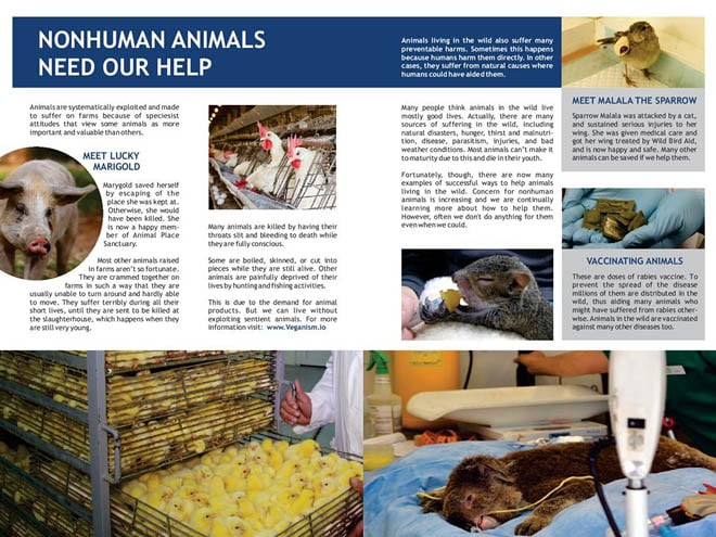 Download and use Animal Ethics’s leaflets and factsheets
