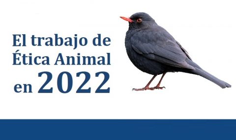 Inicio - Ética Animal
